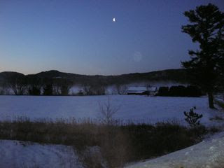 The Giddy Garden Gnome: Moonlight in Vermont